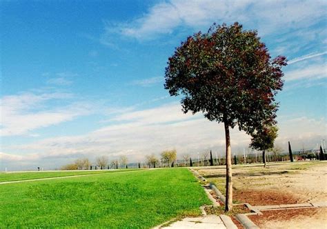 Práctica De Clonar Una Imagen