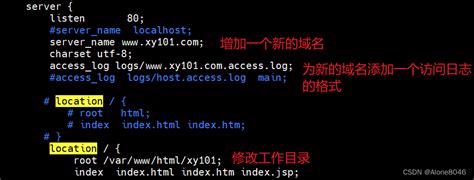 Nginx的vim Nf配置文件内容详解及实验，nginx的优化和防盗链vim编写nigix Csdn博客