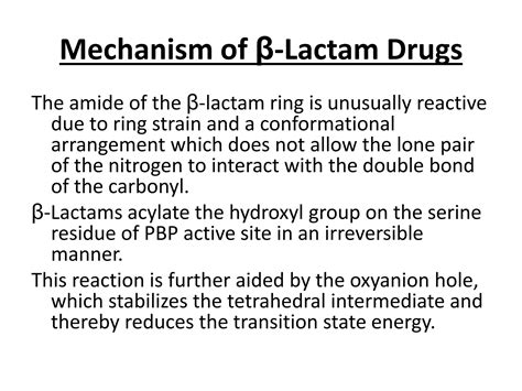 Beta Lactam Antibiotics Pdf