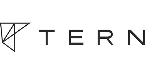 Former Us Dot Leader Joins Tern To Advance Its Ai Powered Gps Alternative