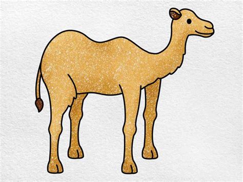 How To Draw A Camel Helloartsy