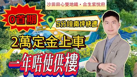 大亞灣臨深盤｜合生紫悅府｜0首期‼️2萬定金上車准現樓｜送12個月月供‼️｜沙田、田心雙地鐵站｜5分鐘到南坪快速臨深樓盤 大亞灣 惠州筍