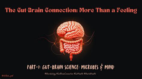 Gut Brain Science Microbes And Mind