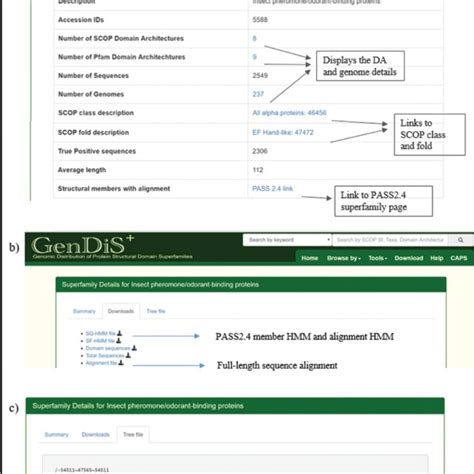 Visualization Of A Cluster With The Multiple Sequence Alignment Download Scientific Diagram