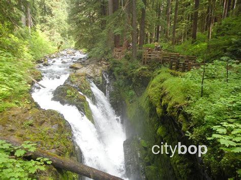 10 Best Things About Sol Duc Falls