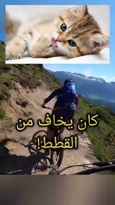 معلومات غريبة تسمعها لأول مرة2 Youtube