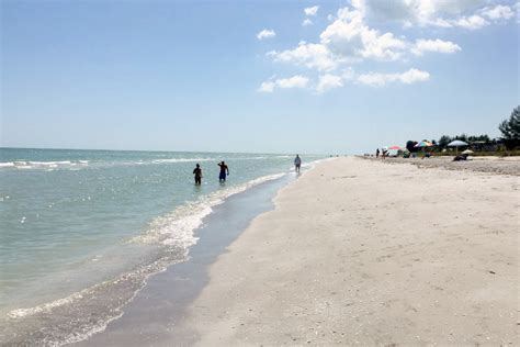 Dog Friendly Beaches In Florida Sand Between My Piggies