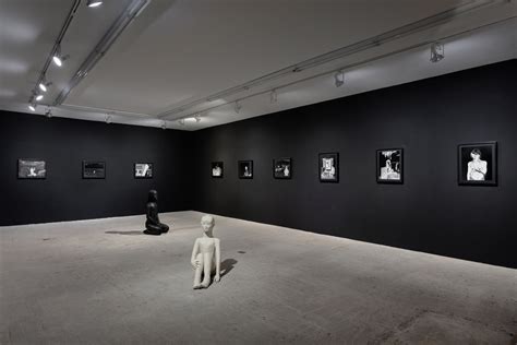 Aneta Grzeszykowska At Lyles And King Art Viewer