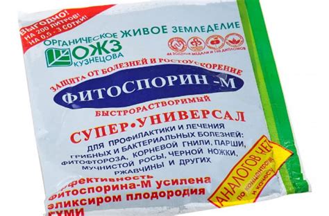 Фитоспорин-М - инструкция по применению: отзывы, когда обрабатывать, советы