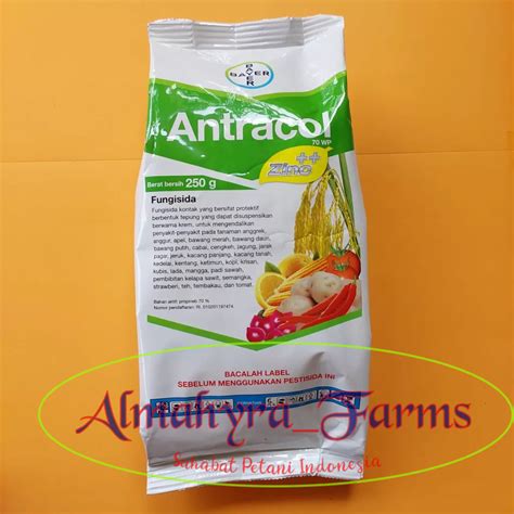 Jual Fungisida Antracol 70WP Zinc 250 Gr Shopee Indonesia