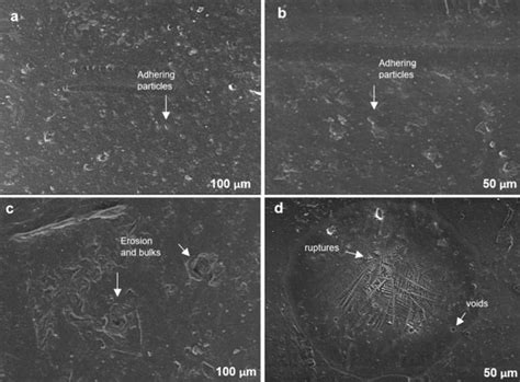Scanning Electron Microscopy A And B New Ldpe Without Treatment C Download Scientific
