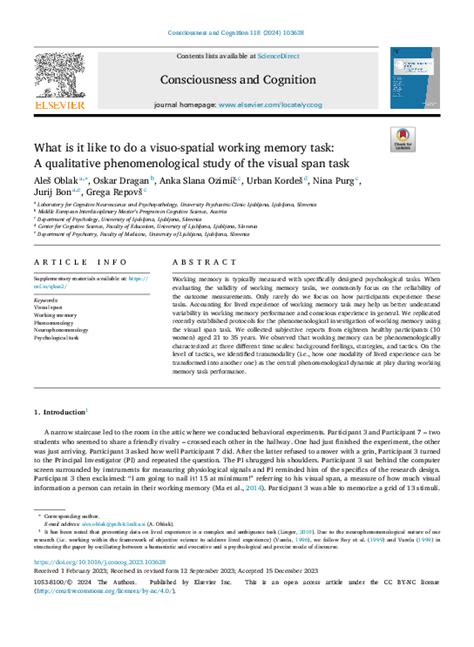 Pdf What Is It Like To Do A Visuo Spatial Working Memory Task A Qualitative Phenomenological