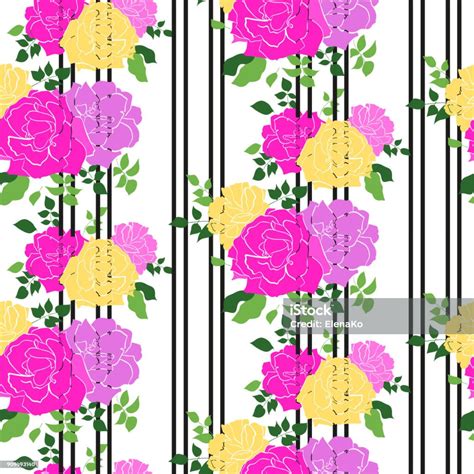 벡터에 흰색 배경 손으로 그린 정원 장미 꽃으로 완벽 한 패턴입니다 화장품 인사말 카드 청첩장 직물 또는 종이 포장을 위한 꽃 디자인 일러스트 0명에 대한 스톡 벡터 아트