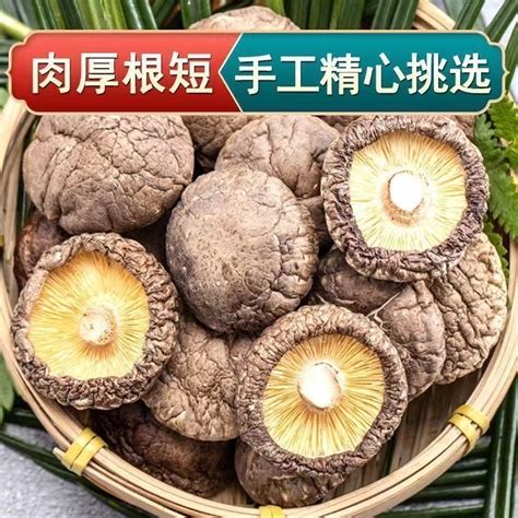 新菇送禮佳品大食府 香菇幹貨1斤2斤 肉厚無根 幹香菇 新貨蘑菇 菌菇 冬菇 蟲草 農家特產 味香家常炒菜煲湯鍋料 蝦皮購物