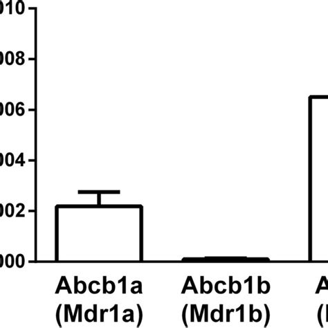 Relative Mrna Expression Of Abcb1a Mdr1a Abcb1b Mdr1b And Abcg2