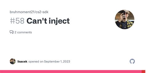Can T Inject Issue 58 Bruhmoment21 Cs2 Sdk GitHub