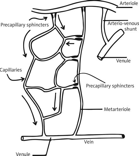 Current Methods For The Assessment Of Skin Microcirculation Part 1