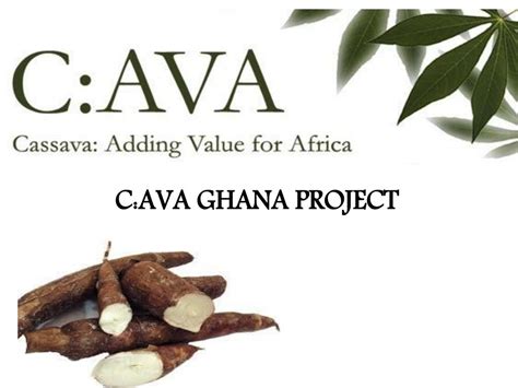 PPT C AVA GHANA PROJECT PowerPoint Presentation Free Download ID 6236743
