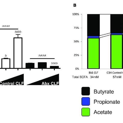 Scfa Levels Can Effect Highly Divergent Inflammatory Responses And Download Scientific