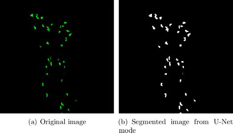 Figure 1 From Master Computer Science Cell Trajectory Studies Exploring