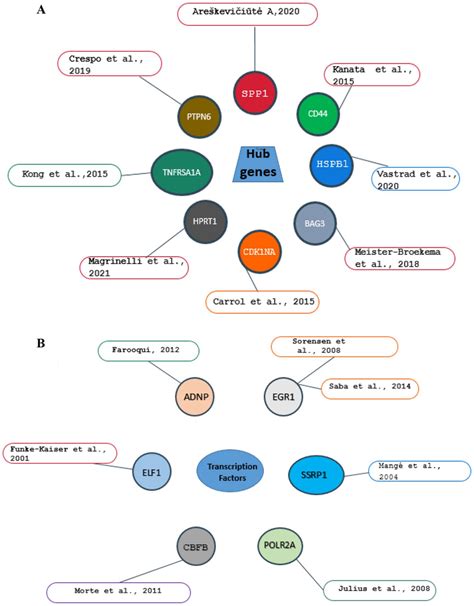 Potential Biomarker Validation Was Performed By Extensive Exploration