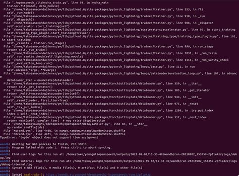 Validation Sanity Check Error Executing Job With Overrides Issue Openspeech Team
