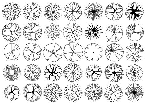 Procreate Brushes Procreate Tree Plan Stamps Tree Symbols Landscape