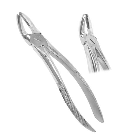 Extracting Forceps Fig 62 Incisors Premolars Deciduous Teeth Lenox