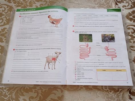 Caderno De Atividadesterra Viva Ciências Naturais 6º Ano 2º