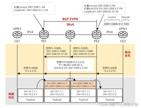 广域网技术——srv6隧道类型及数据转发srv6隧道技术 Csdn博客