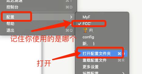 macOS 下解决 ClashX 的 DNS 策略覆盖了本地 hosts 解析的问题 CroWall