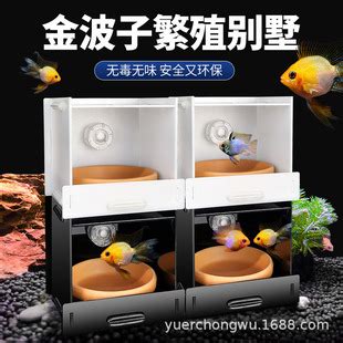 金波子繁殖盘支架托架短鲷类阿凡达繁殖别墅带吸盘可放扇贝壳陶盘 阿里巴巴