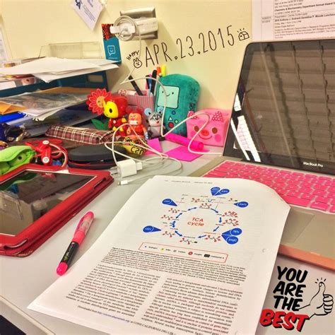 Pin On Study Power