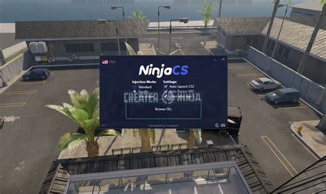 Ninjacs Cs2 Cheat Injector New Generation Vac Bypass Green Trust