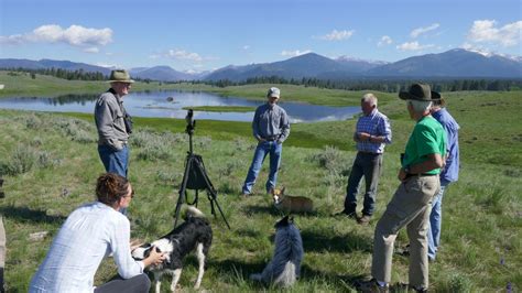 Why Integrity Matters For Conservation And Social Action