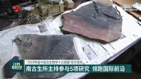 2019中国古生物学十大进展发布 南京主持参与5项研究 手机新浪网