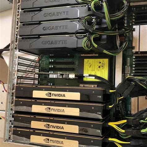 löschen Limette Menschliche Rasse nvidia gpu tesla v100 Salon