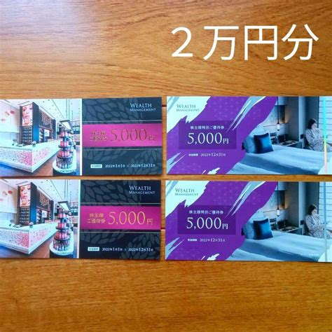 41％割引最先端 ウェルスマネジメント 株主優待券 20000円分 宿泊券 優待券割引券 Otaonarenanejp
