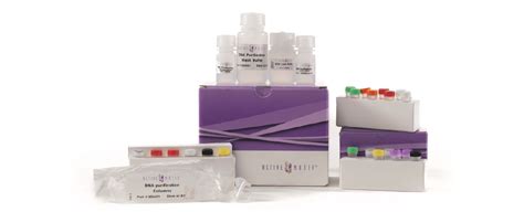 atac seq solutions products services and education resources