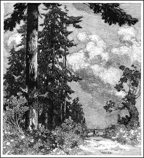 Franklin Booth The Pine Detailed Pen And Ink Art