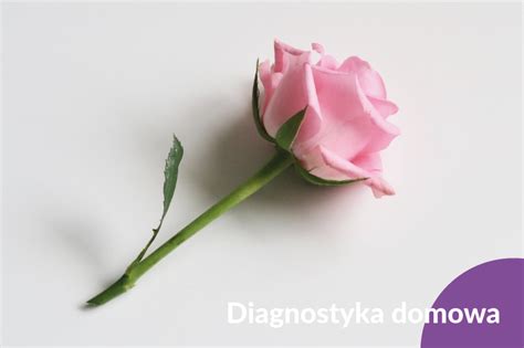 Test Na Infekcje Intymne Ph Test Na Ph Pochwy Domowelaboratoriumpl