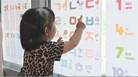 아기병풍 아기벽보 스튜디오모망 너무 예뻐 네이버 블로그