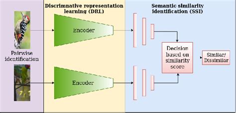 Figure 1 From Fine Grained Few Shot Classification With Contrastive Clues Semantic Scholar