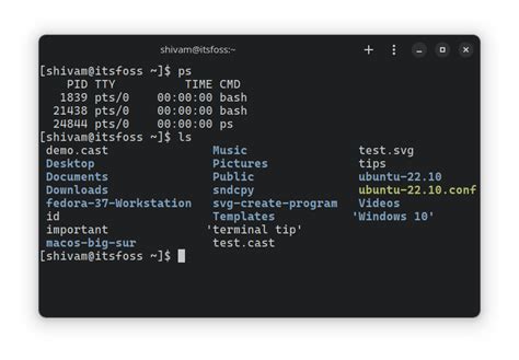 10 Best Fonts For Linux Terminal