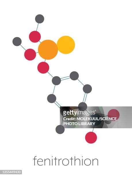 Sulfur Atom Model Photos And Premium High Res Pictures Getty Images