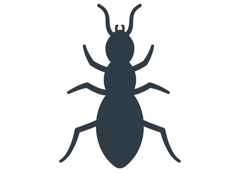 Tap To Reveal Pubic Lice And Scabies Symptoms Smart Sex Ed 20