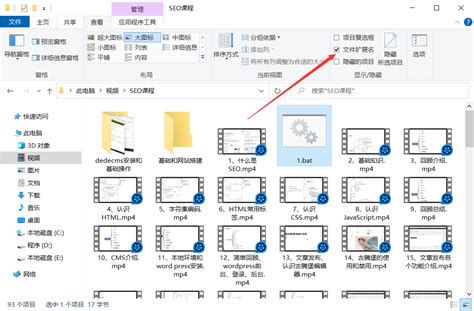 批量提取文件夹里所有文件名 不羁的风