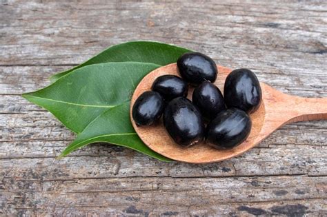 나무 배경에 고립 된 나무 래들에 잎이있는 말라바르 매실 또는 Syzygium Cumini의 클로즈업 Java Plum