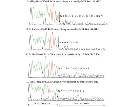 Sequencing Of The Plasmid Dna Libraries With Random Insert Dna Download Scientific Diagram