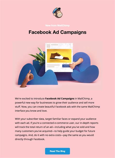 😻 Facebook Ad Campaigns In Mailchimp Are Here Aards